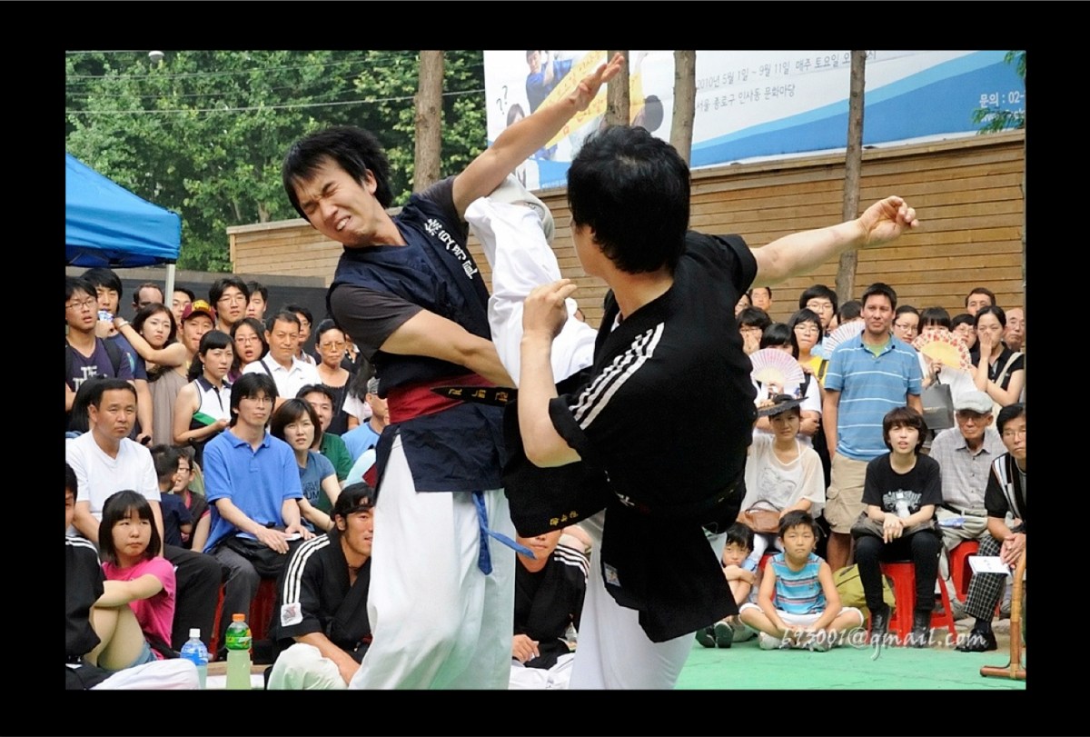 Taekkyon: the Original Martial Art of Korea – SMA bloggers