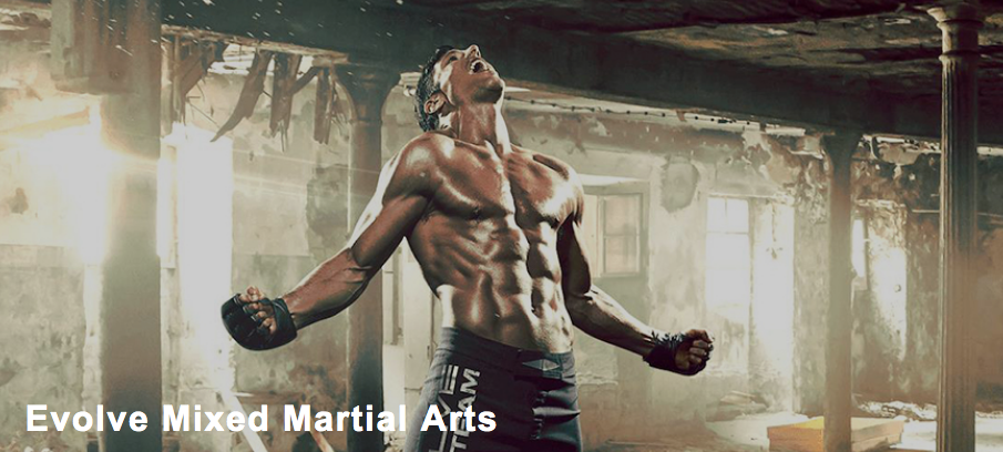 How to train at one of Asia’s best MMA gyms – SMA bloggers